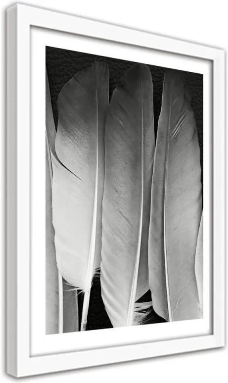 CARO Obraz v rámu - Feathers In Black And White 30x40 cm Bílá