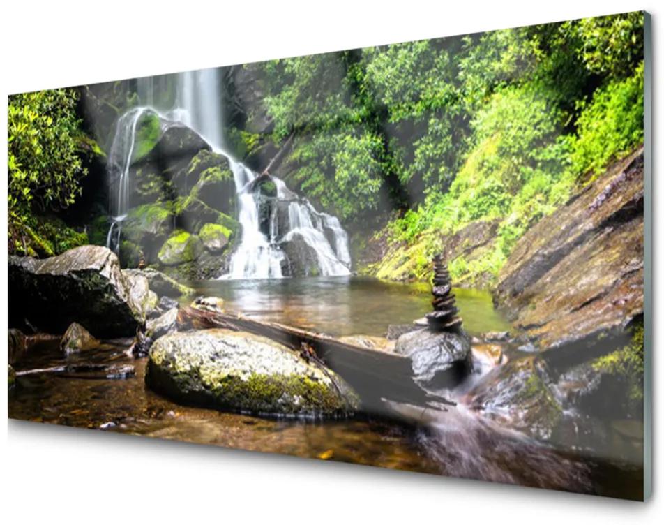 Skleněný obraz Vodopád Kameny Les Příroda