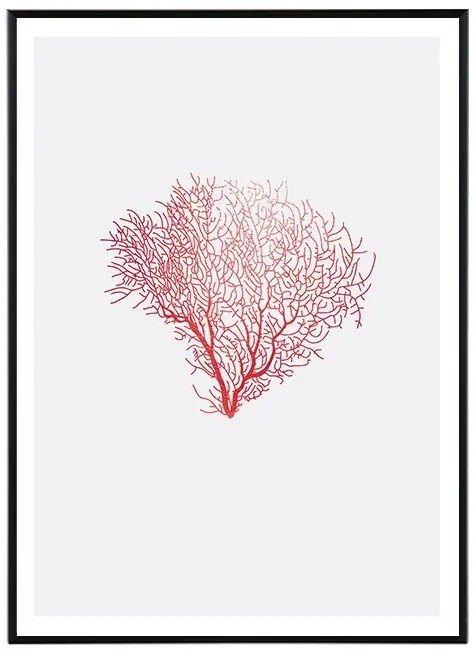 Coral spirit - 50x70 cm Obraz