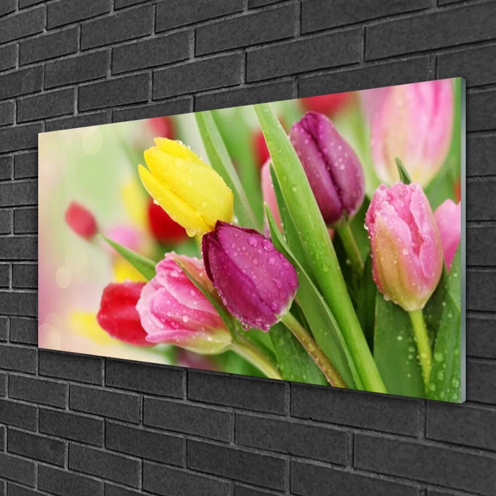 Obraz na skle Tulipány Květiny Rostlina 120x60 cm