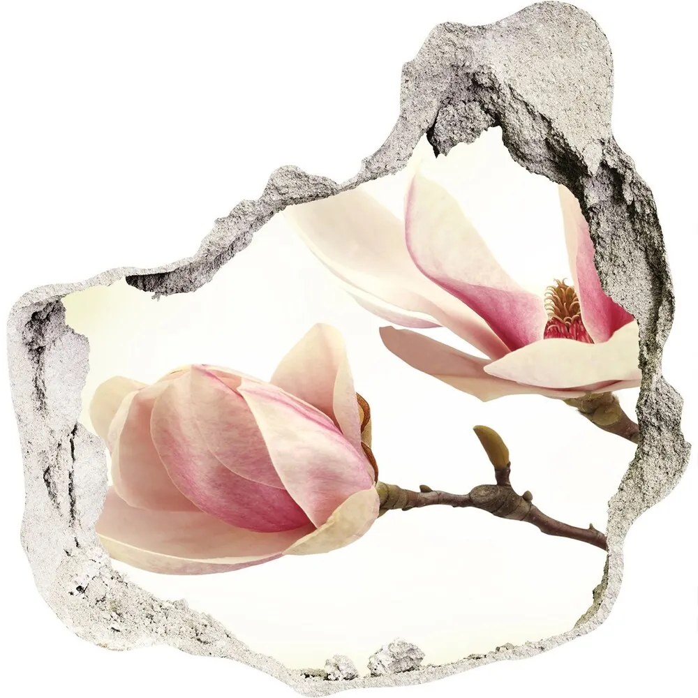 Wallmuralia Samolepící díra nálepka Magnolie 75x75 cm