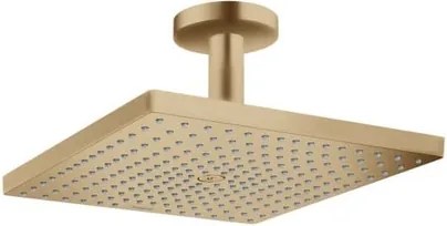 Hansgrohe Raindance hlavová sprcha strop včetně sprchového ramena kartáčovaný bronz 26250140