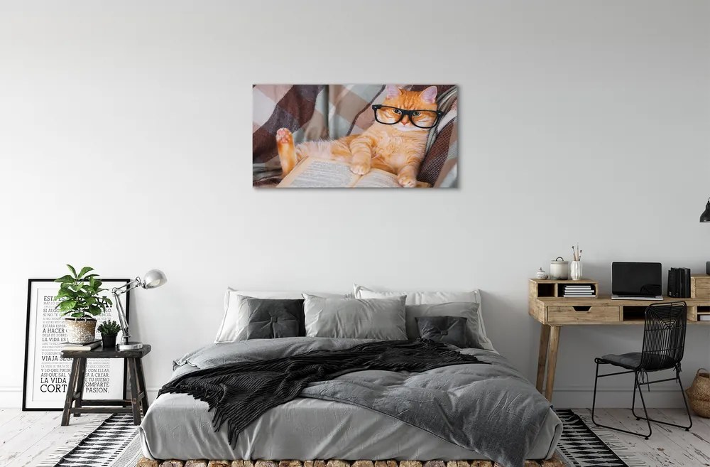 Obrazy na plátně Čtenář cat 120x60 cm