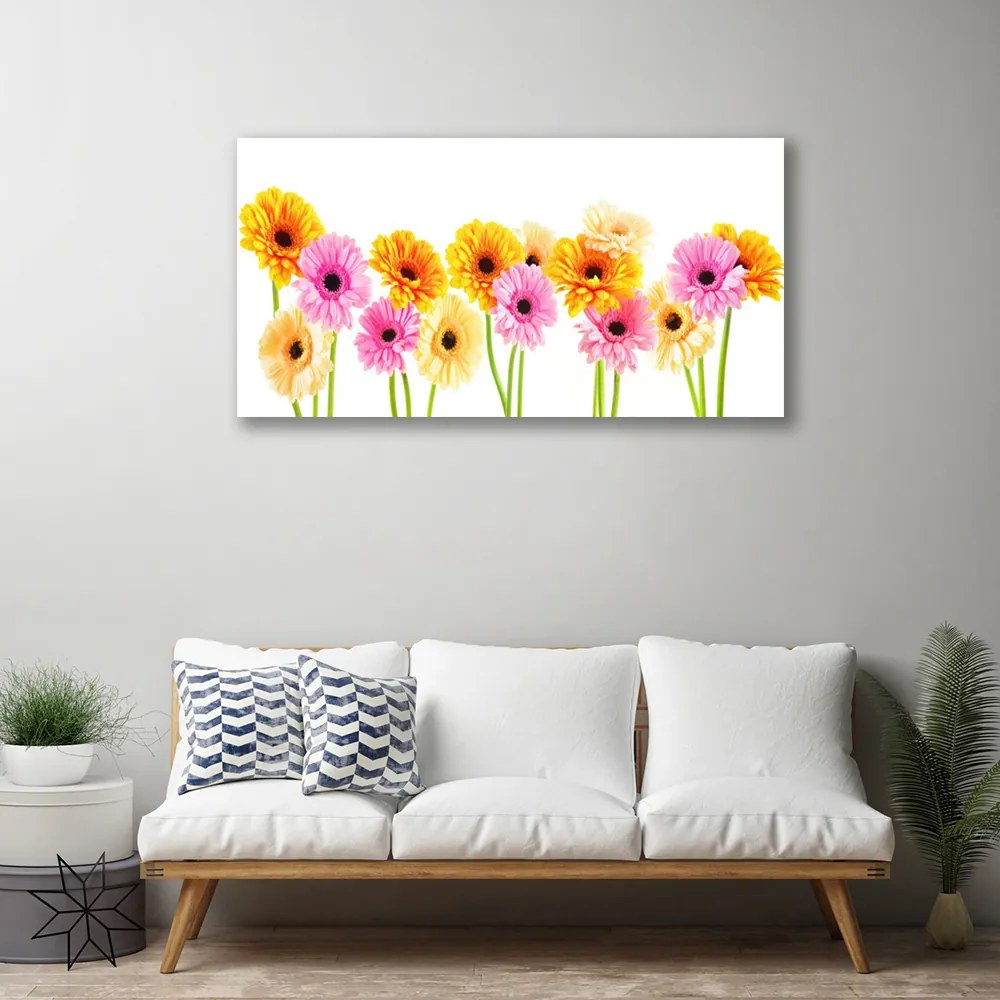 Obraz na plátně Barevné Květiny Gerbery 120x60 cm