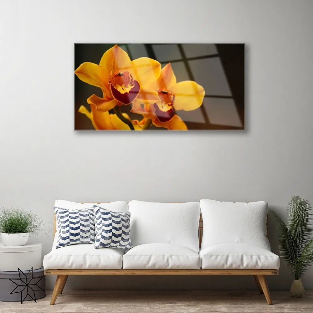 Obraz na skle Květiny Rostlina 140x70 cm