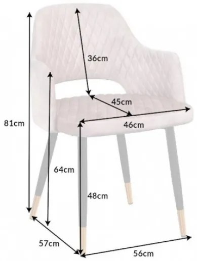 Designová židle Laney šedo-růžový samet