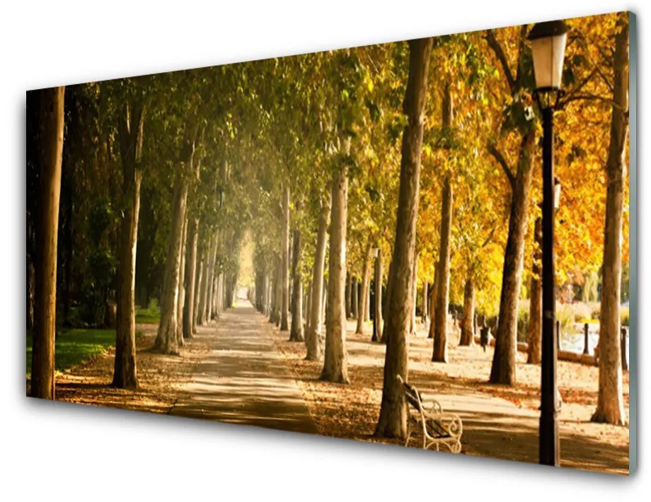 akrylový obraz Park Alej Krajina 100x50 cm