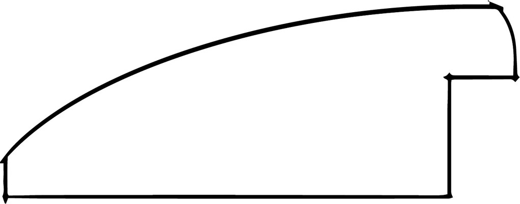 DANTIK - Zarámované zrcadlo - rozměr s rámem cca 50x90 cm z lišty Eternity AU ledvinka (3098)