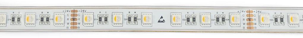 Indeluz 202DS-L1416FC0-00 24 V LED pásek Nilo RGB+W 4000K, 18,2+5,5W/m, 5m, IP67