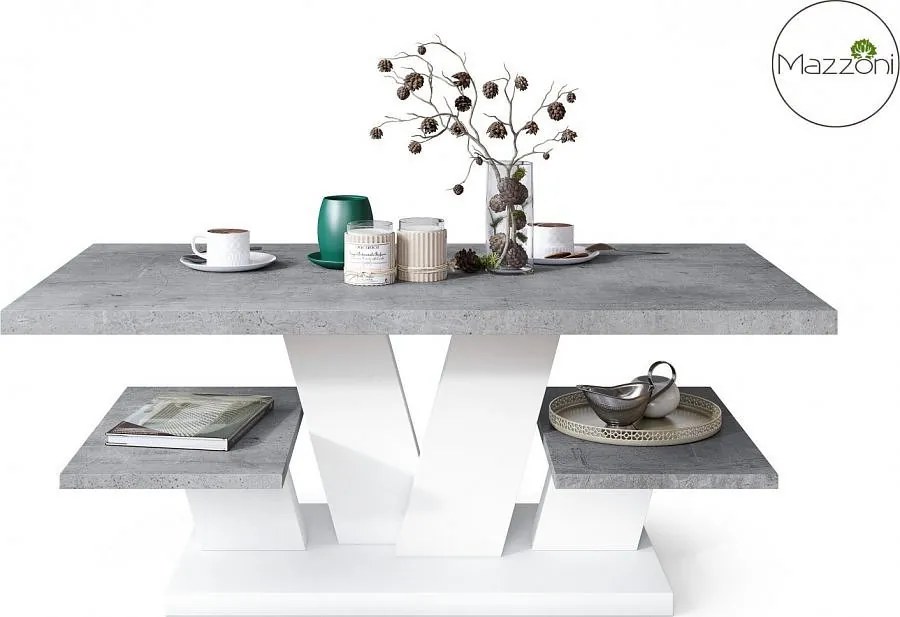 Casarredo - Komfort nábytek Konferenční stolek VIVA 110x60 cm beton/bílá