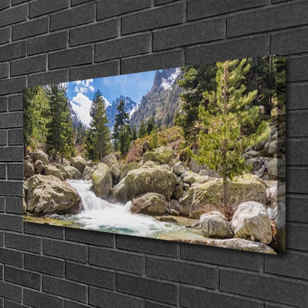 Obraz na plátně Hora Les Kameny Řeka 125x50 cm