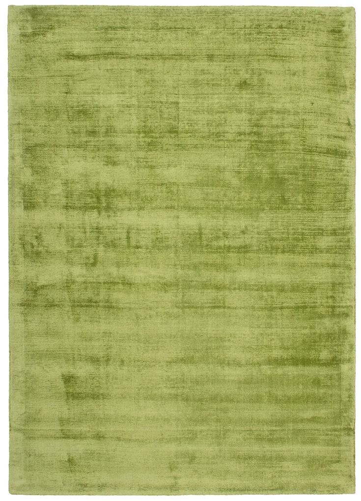 Obsession koberce Ručně tkaný kusový koberec MAORI 220 GREEN - 120x170 cm
