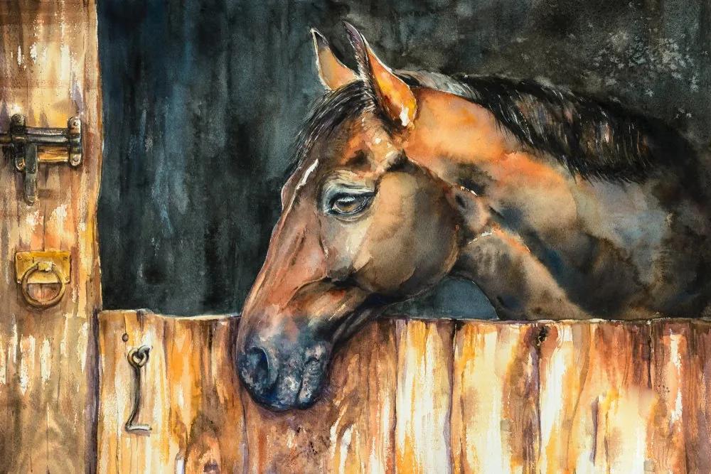 Obraz Kůň Na Dvoře Nedostatek Nedostatek Plátno Canvas 120x80