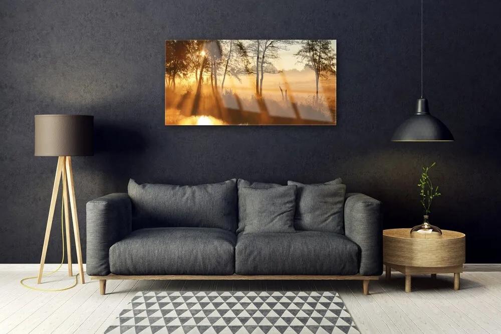 Obraz na skle Stromy Příroda 125x50 cm