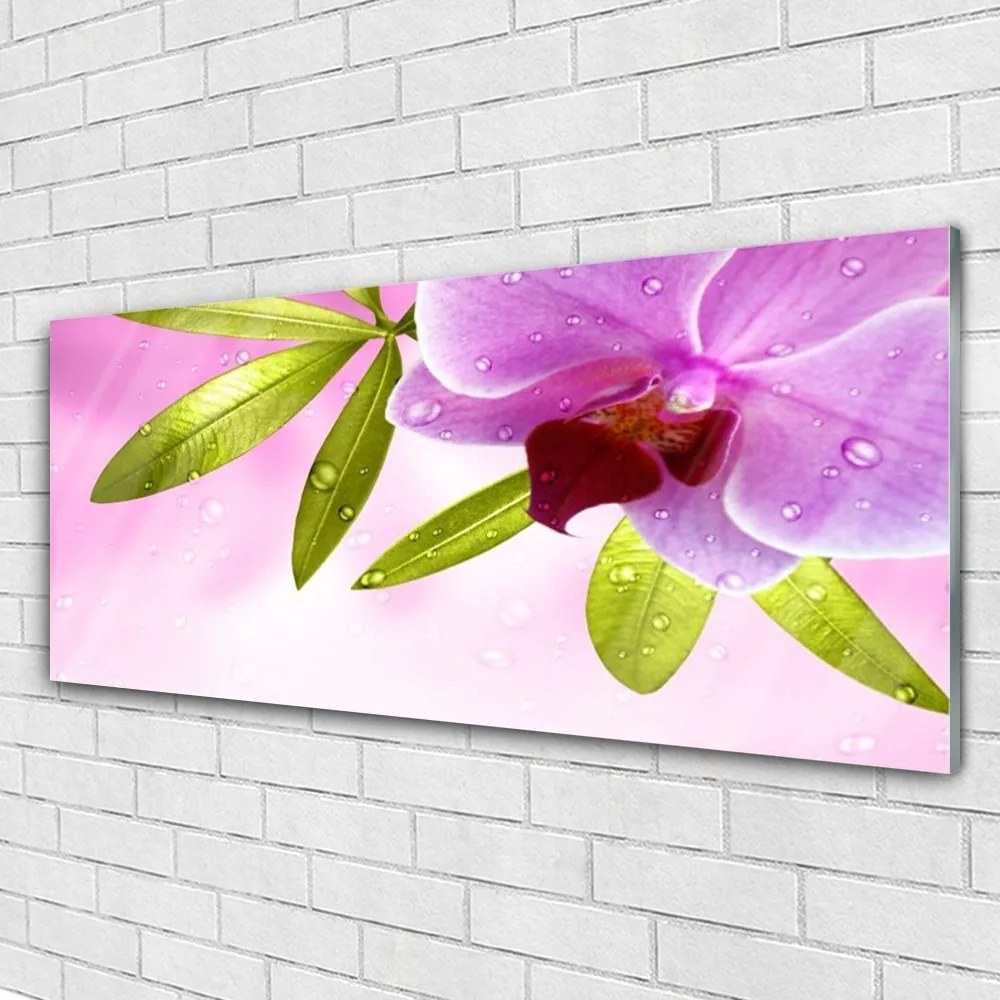 akrylový obraz Květ Listy Rostlina 125x50 cm