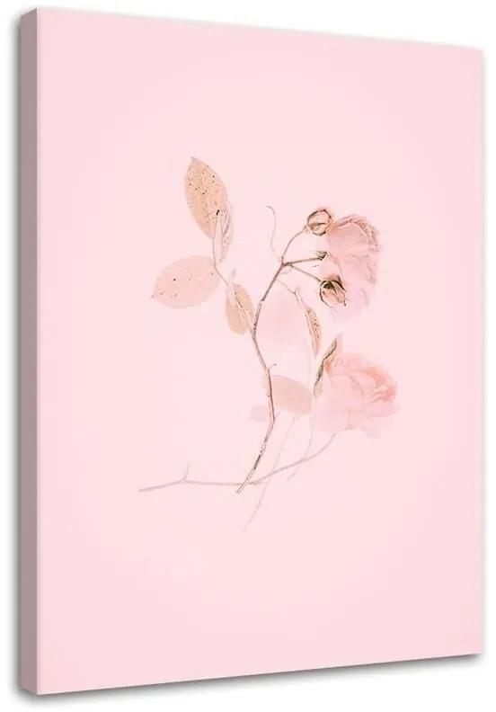 Obraz na plátně Květina Příroda Růžová - 40x60 cm