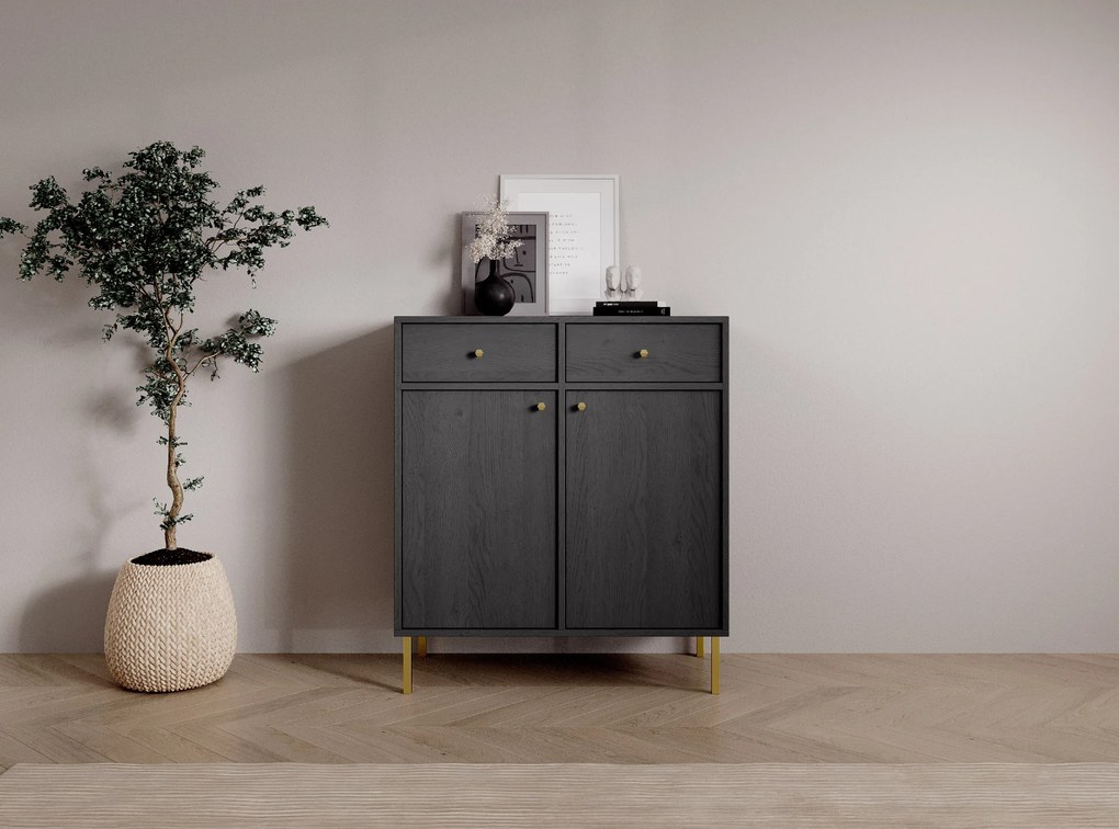ADRK Furniture Komoda 2D 2S Tili ADRK-CHES-TIL-2D-2S-B