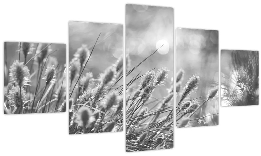 Obraz - Béžová soft grass N⁰1 (125x70 cm)