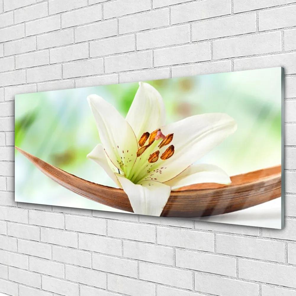 Plexisklo-obraz Květ Rostlina Příroda 125x50 cm