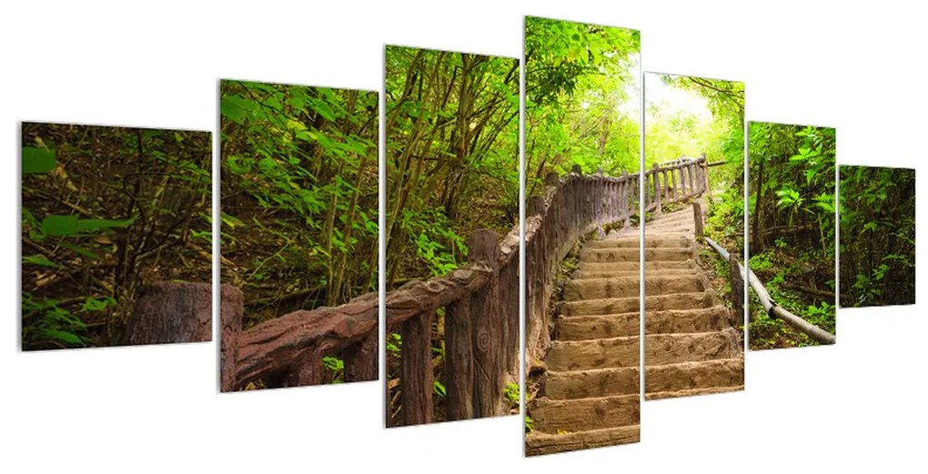 Letní obraz schodů v přírodě (210x100 cm)