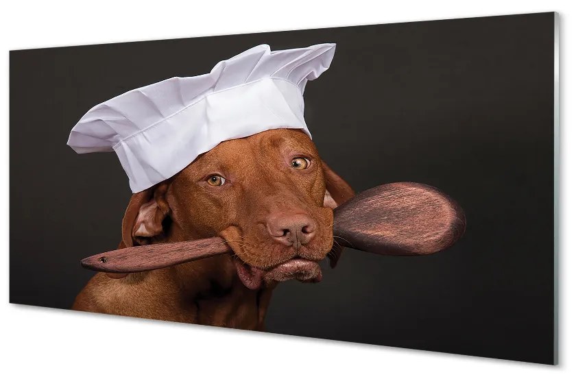 Obraz na skle dog chef 100x50 cm