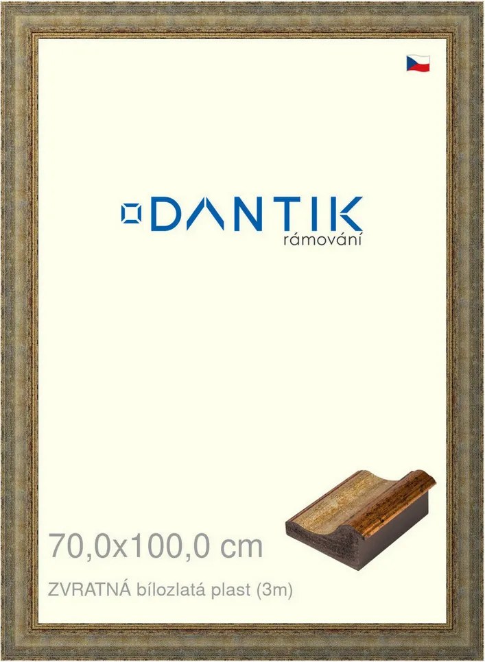 DANTIK rámeček 70x100 | ZVRATNÁ bílozlatá plast (Plexi Čiré)