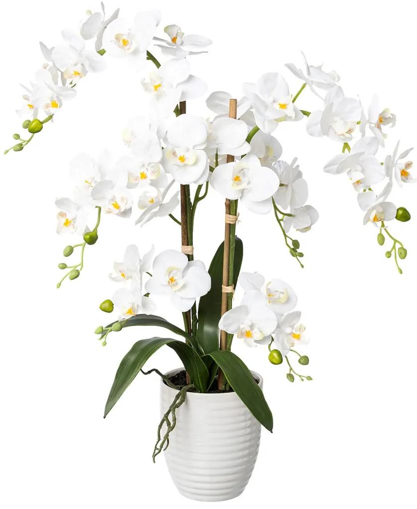 Gasper Umělá orchidej v keramickém květináčij, 67 cm, bílá