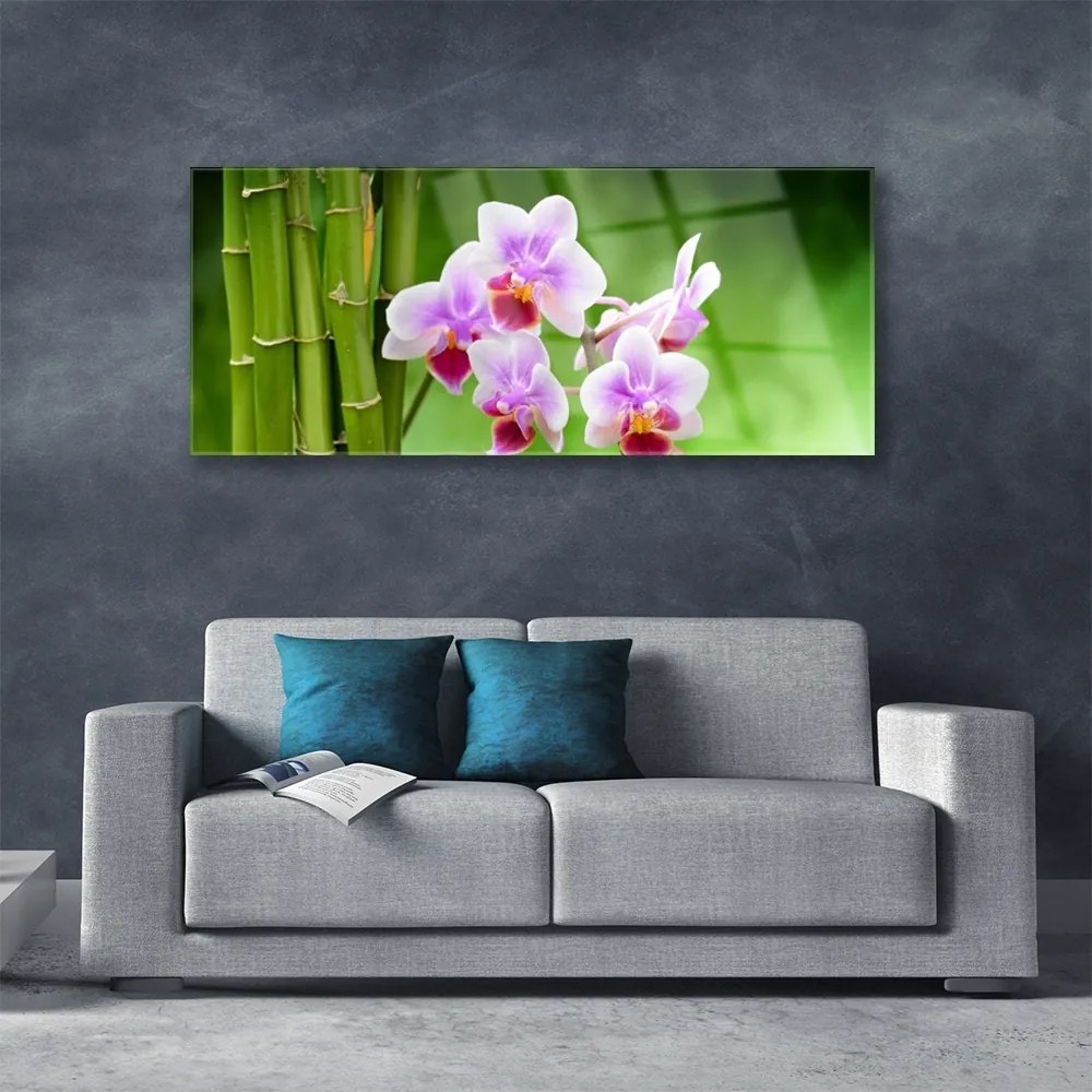 Plexisklo-obraz Bambus Orchidej Květiny Zen 125x50 cm