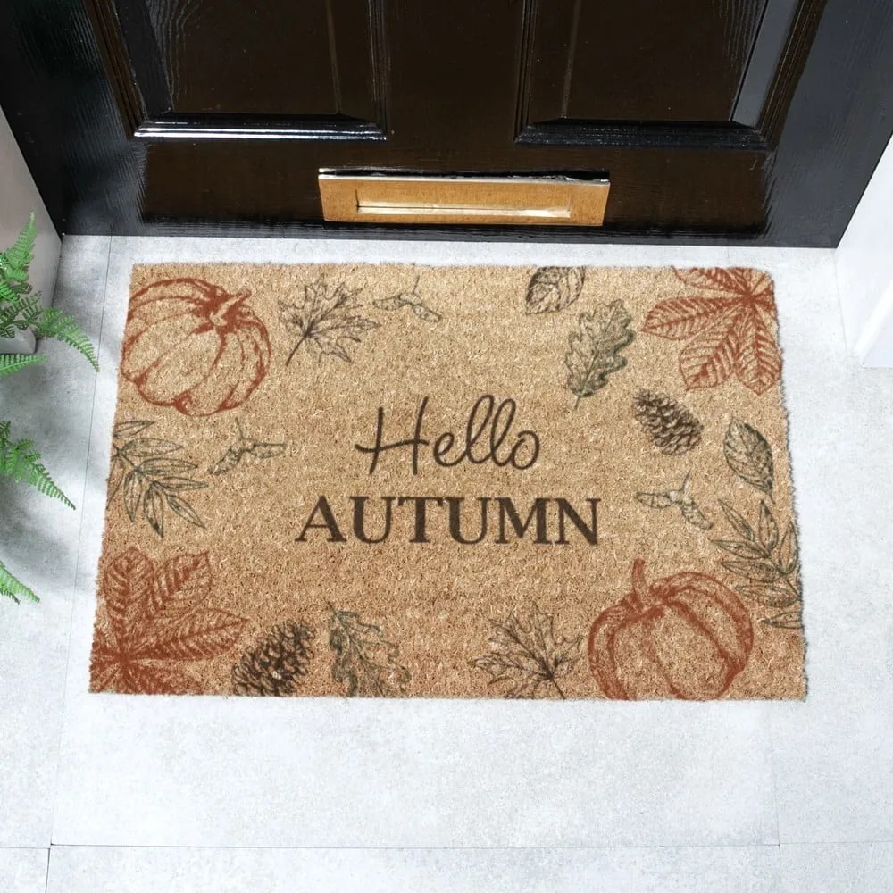 Rohožka z kokosového vlákna 40x60 cm Hello Autumn – Artsy Doormats