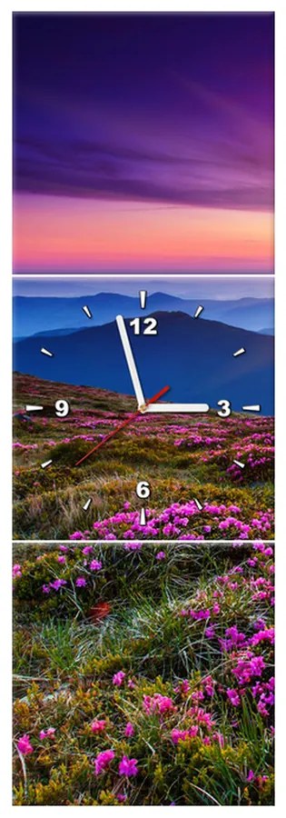Gario Obraz s hodinami Horská louka - 3 dílný Rozměry: 100 x 70 cm