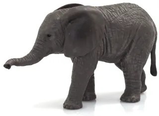 Mojo Slon africký slůně