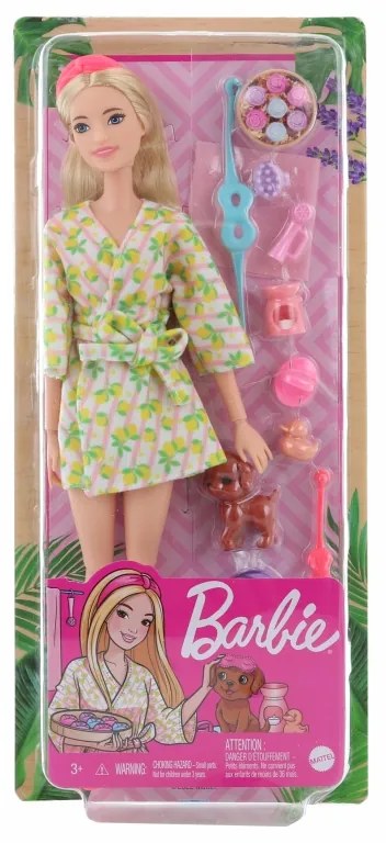 Barbie Wellness panenka - v lázních HKT90