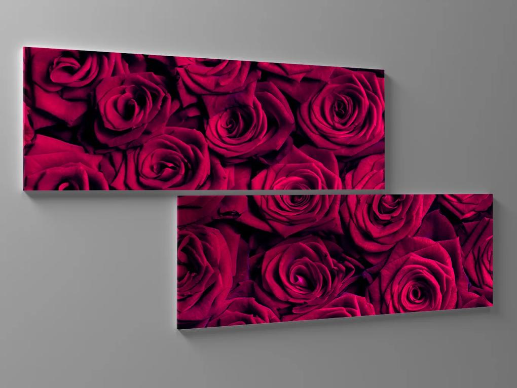Liox Obraz červené růže Rozměr: 180 x 90 cm