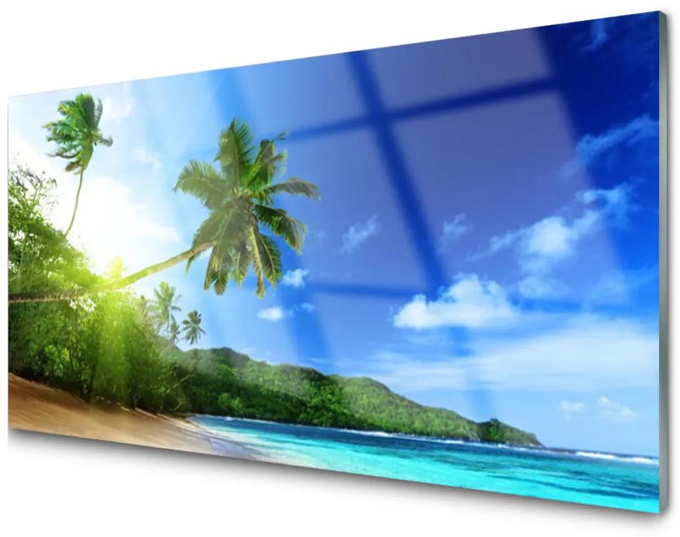 Plexisklo obraz Pláž Moře Palma Krajina