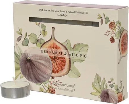 XXXLutz SADA ČAJOVÝCH SVÍČEK 12 kus fík, bergamot - Čajové svíčky - 003754940505