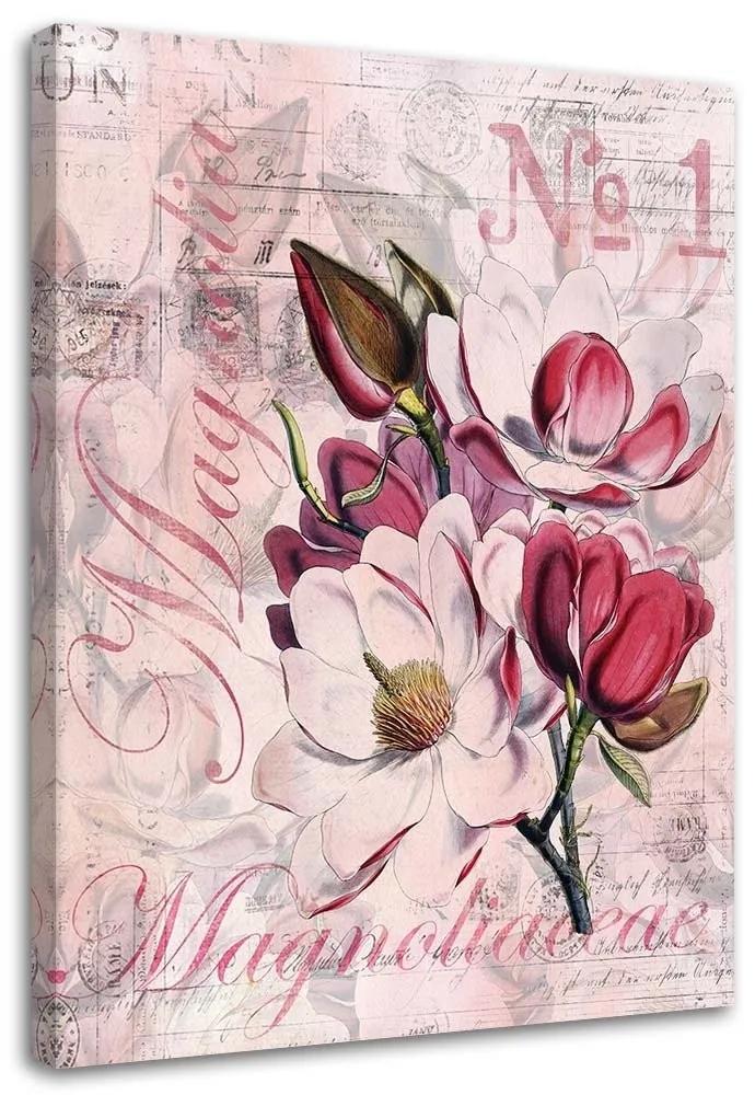 Gario Obraz na plátně Magnólie na růžovém pergamenu - Andrea Haase Rozměry: 40 x 60 cm