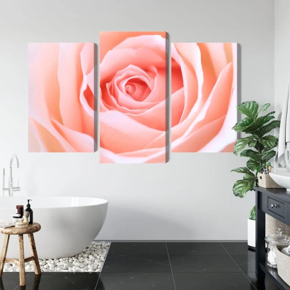Vícedílný obraz Pastelová Růže Na 3D Makro Měřítku Nedostatek Nedostatek Přírodní plátno 90x60