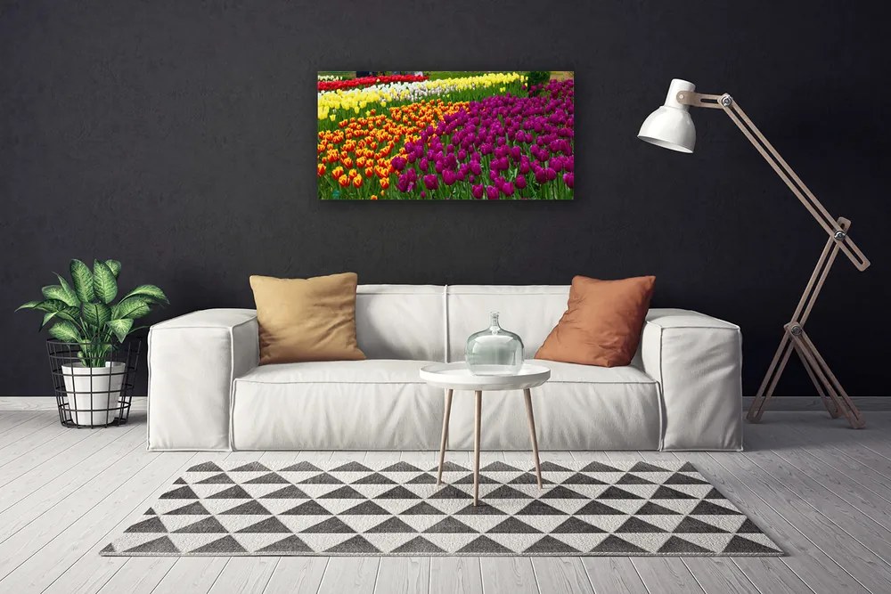 Obraz na plátně Tulipány Květiny 120x60 cm