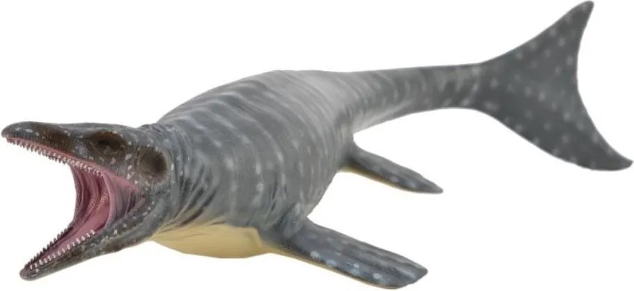 Collecta mosasaurus