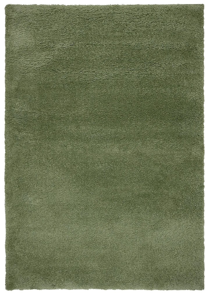 Flair Rugs, Kusový koberec Shaggy Teddy Olive, 120x170, zelená, ložnice