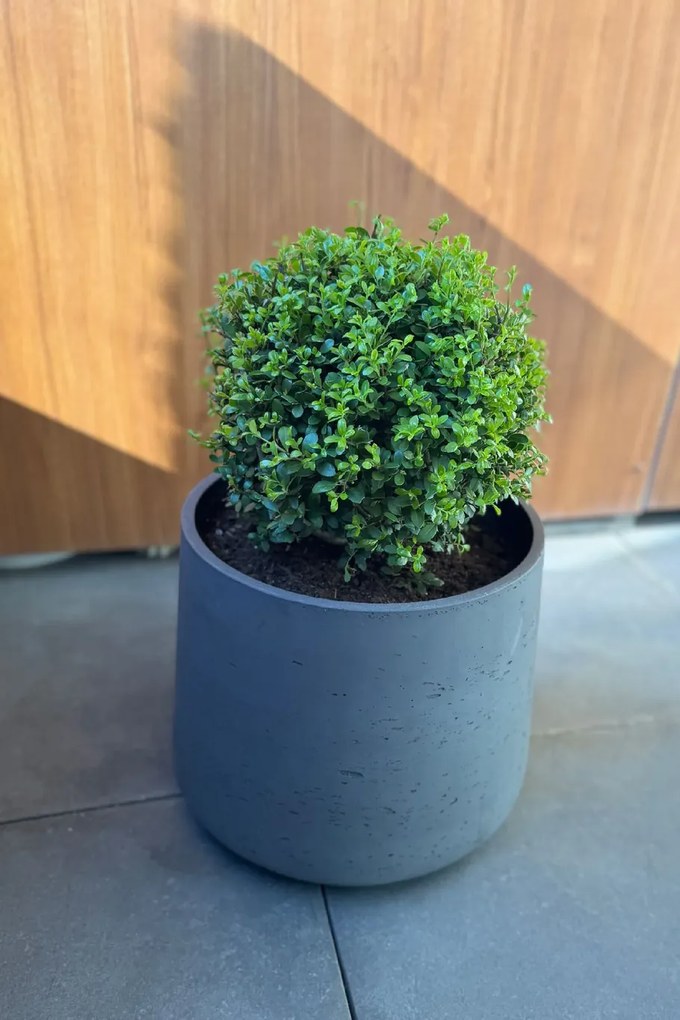 Květináč TROPICO, sklolaminát, výška 29 cm, antracit