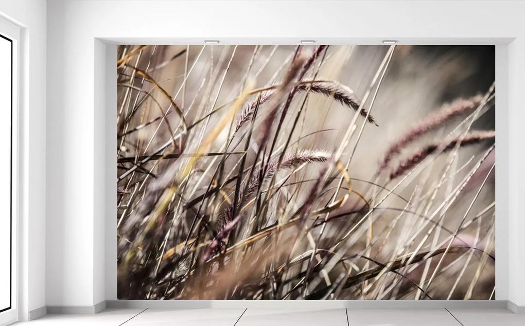 Gario Fototapeta V trávě - Nina Matthews Materiál: Samolepící, Rozměry: 200 x 135 cm