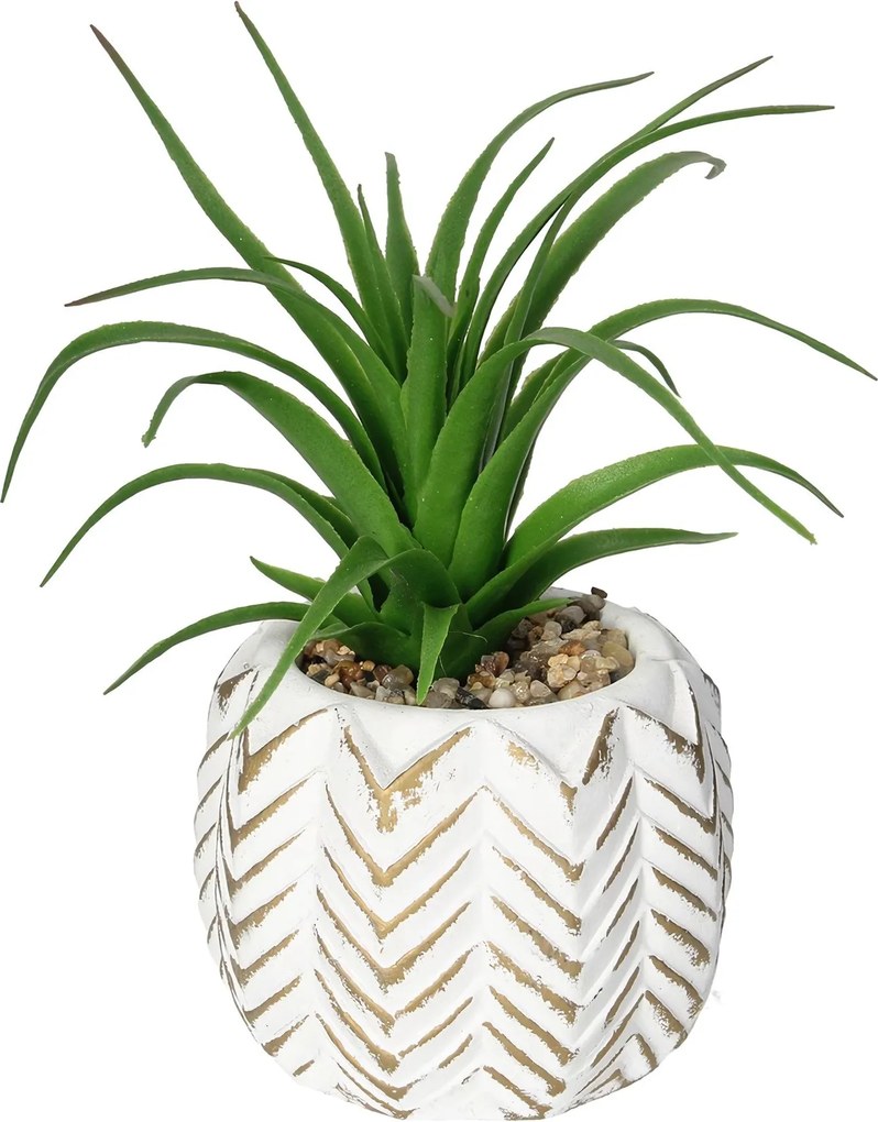 Dekorace Aloes II 14cm