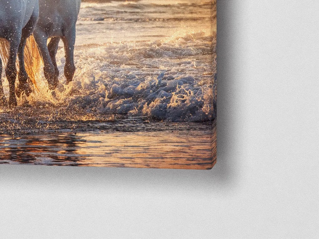 Liox Obraz běžící koně Rozměr: 90 x 60 cm