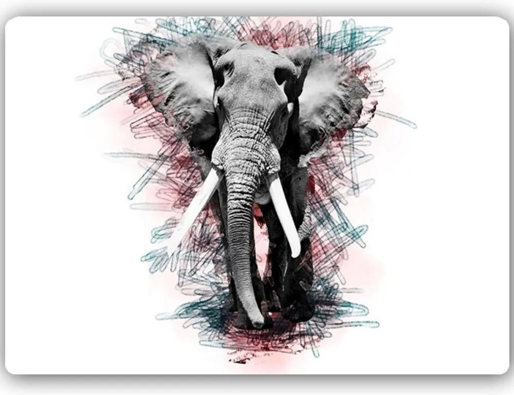 CARO Kovový obraz - Elephant 2 60x40 cm