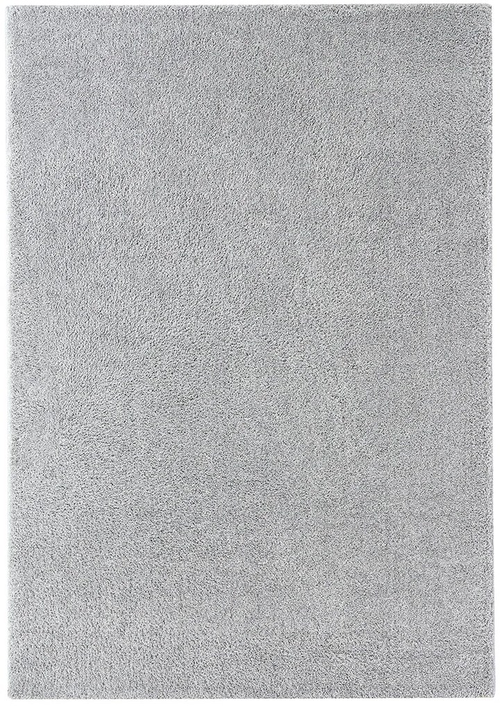 Koberce Breno Kusový koberec DOLCE VITA 01/SSS, Šedá, 140 x 200 cm