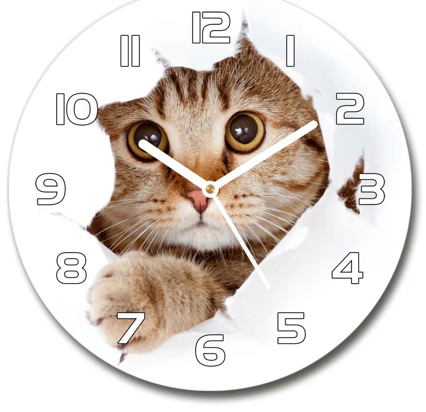 Wallmuralia Skleněné nástěnné hodiny kulaté Kočka fi 30 cm
