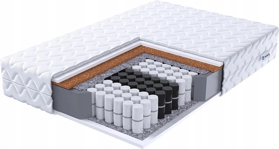 Taštičková matrace Herdis 100x200 kokos Heisberg