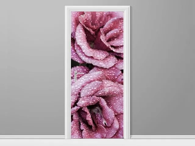 Samolepící fólie na dveře Rosa na růžích 95x205cm ND4762A_1GV