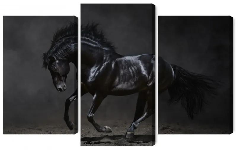 Vícedílný obraz Černý Kůň Ve Cvalu Nedostatek Nedostatek Přírodní plátno 180x120